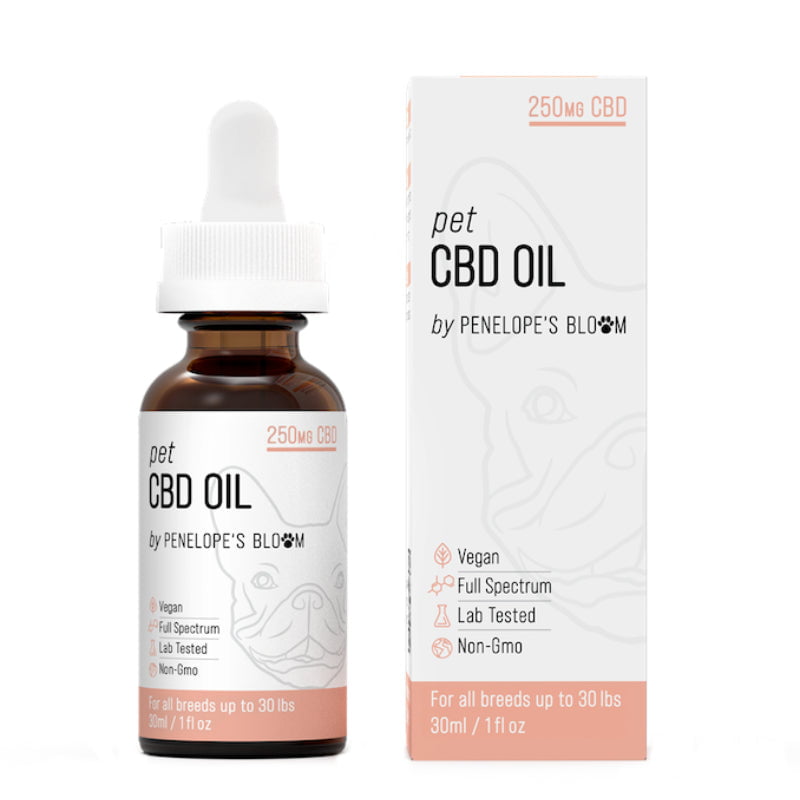 Penelope's Bloom - CBD Pet Tincture - Full Spectrum Oil For Dogs ...